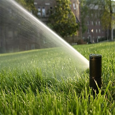 Rainbird pop up sproeiers kopen? | Scherpe prijzen | IrriTech